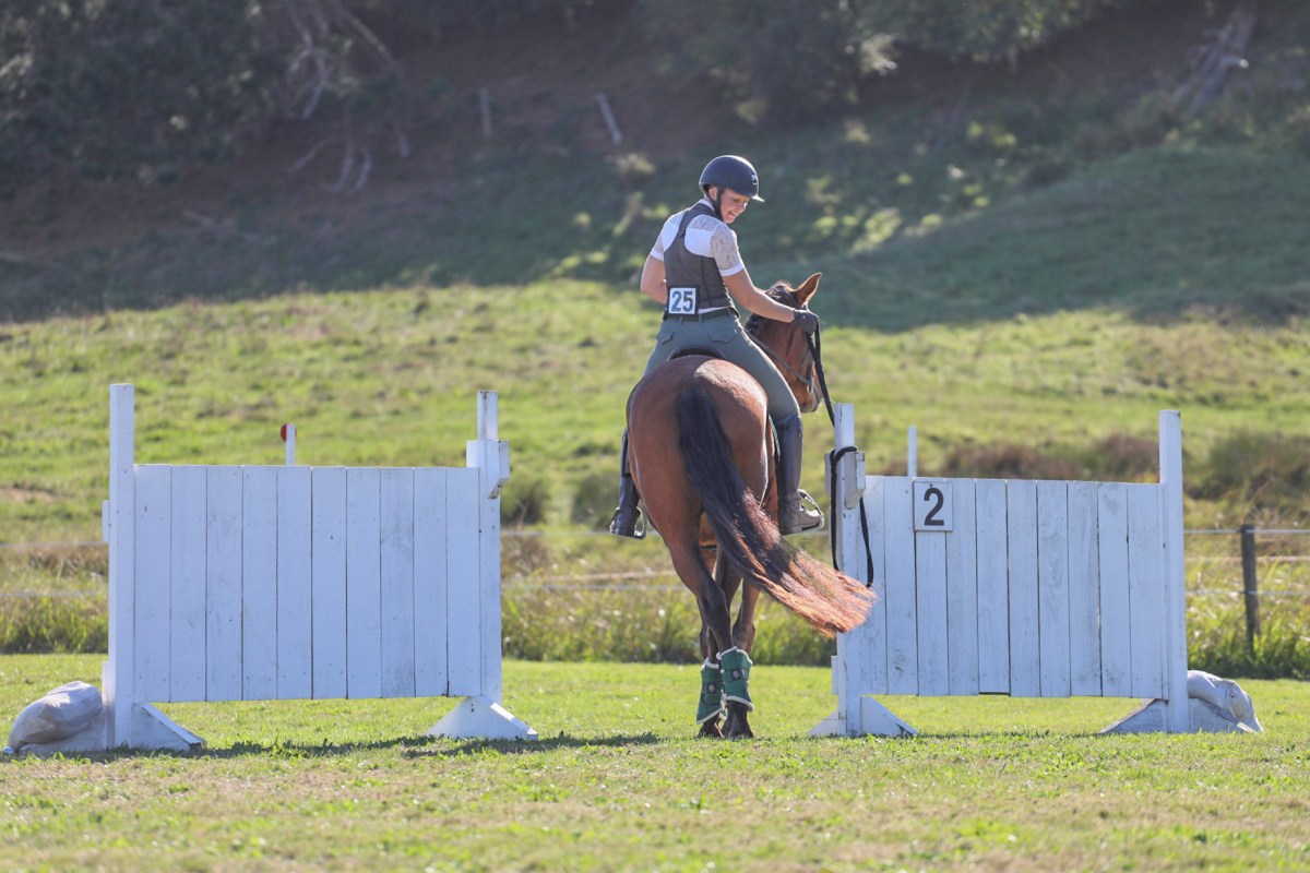 Competing in Working Equitation | Working Equitation NZ